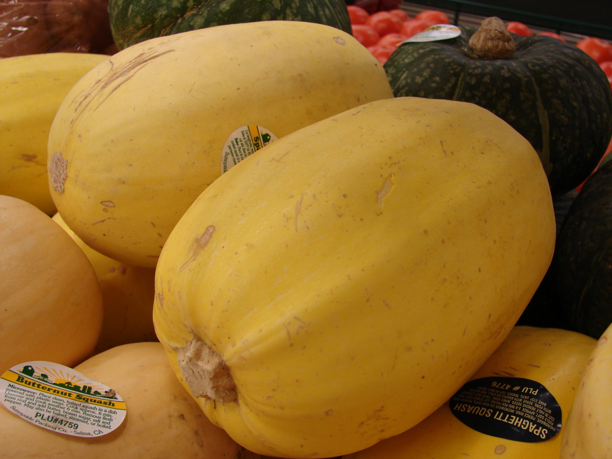 5 Ontario Squashes You Need To Meet | Ontario Culinary