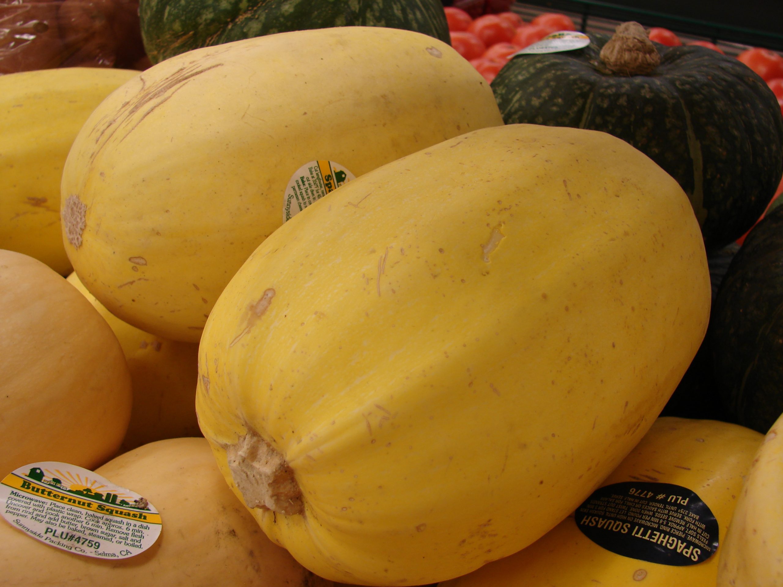 5 Ontario Squashes You Need To Meet | Ontario Culinary