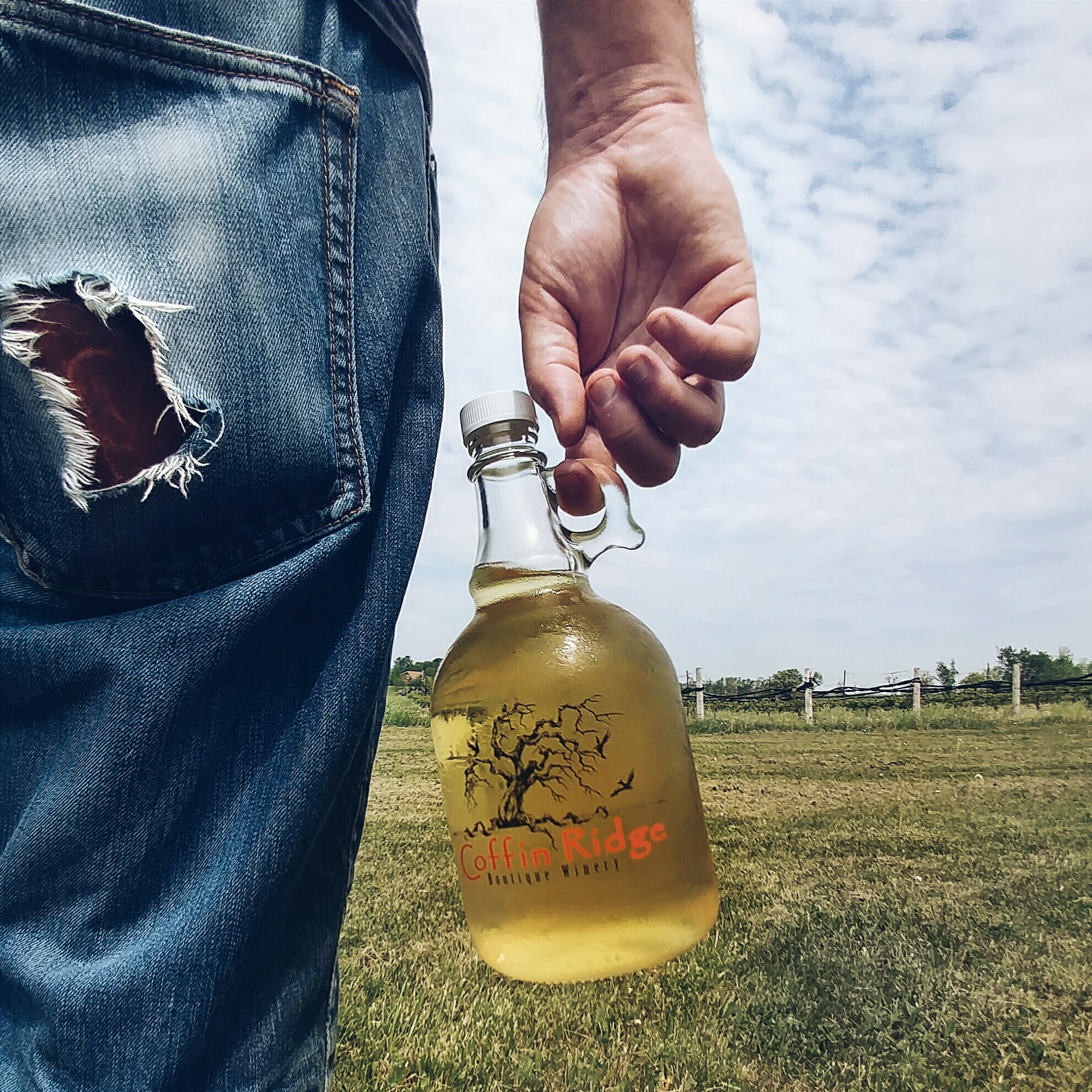 Ontario Craft Cider | Ontario Culinary