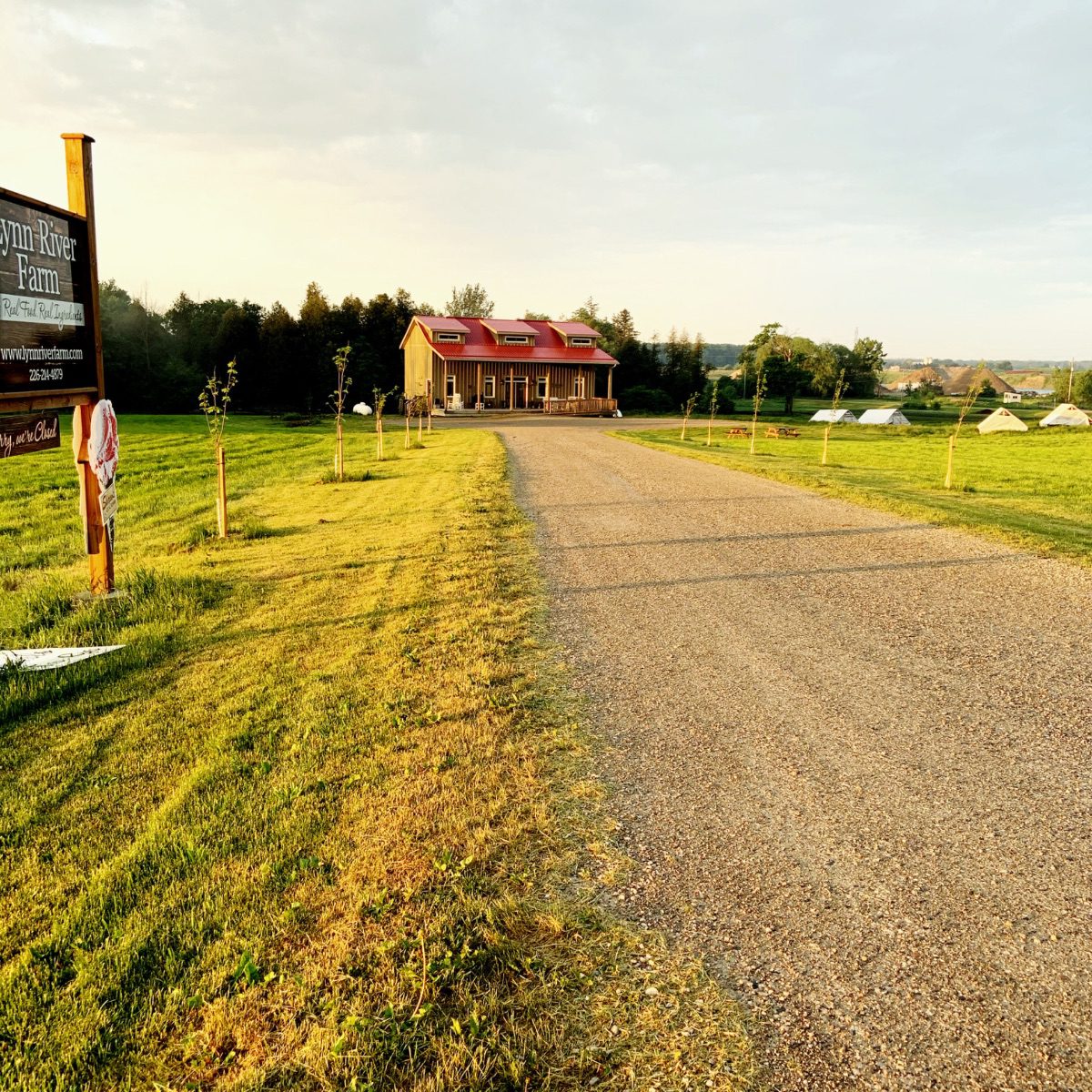 Discover Perth County’s Rural Countryside On This Farm Gate Adventure ...