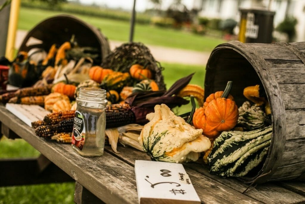 Discover Perth County’s Rural Countryside On This Farm Gate Adventure ...