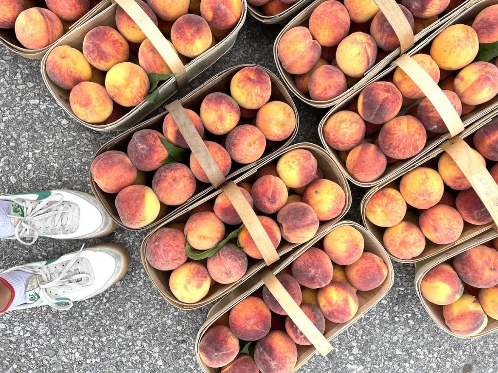 Eat Your Way Through St. Jacobs Farmers' Market | Ontario Culinary