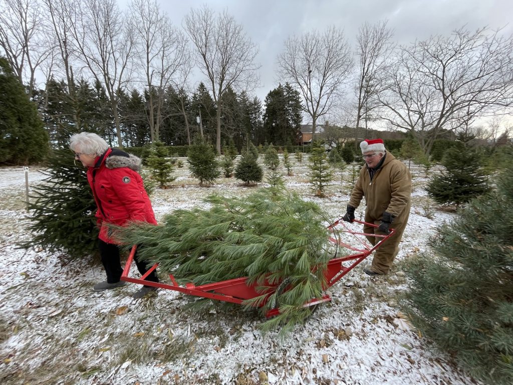 Ontario’s Best Pick-Your-Own Tree Farms | Ontario Culinary