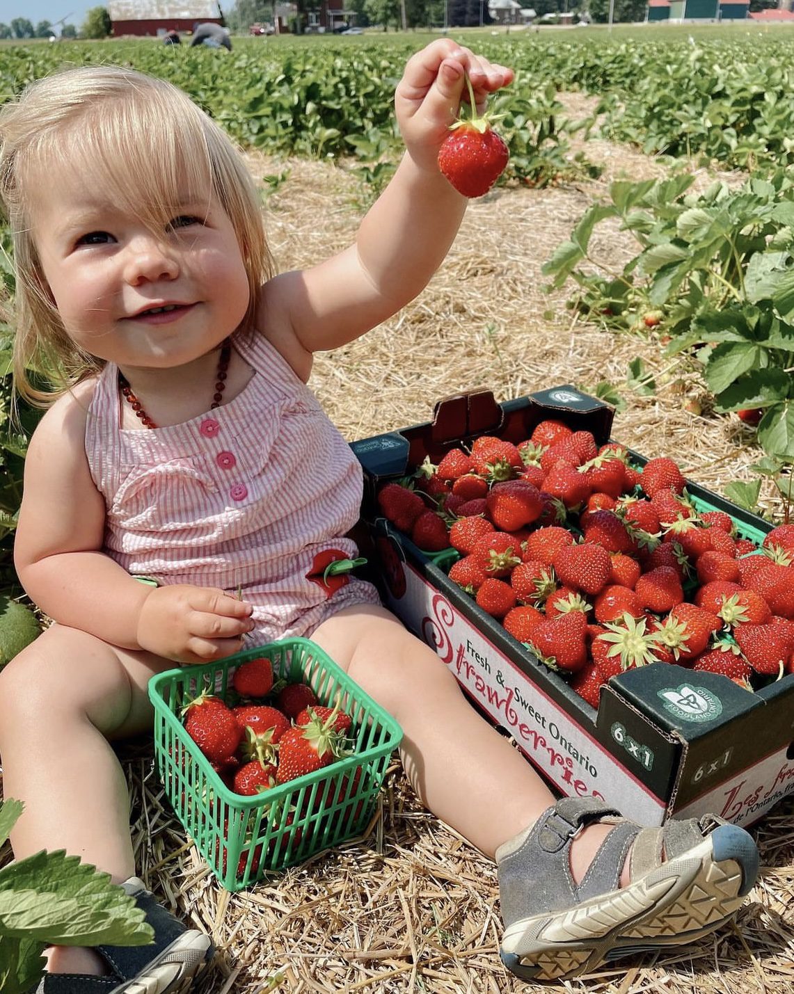 PYO Adventure: A Guide to Strawberry Season in Perth County | Ontario ...