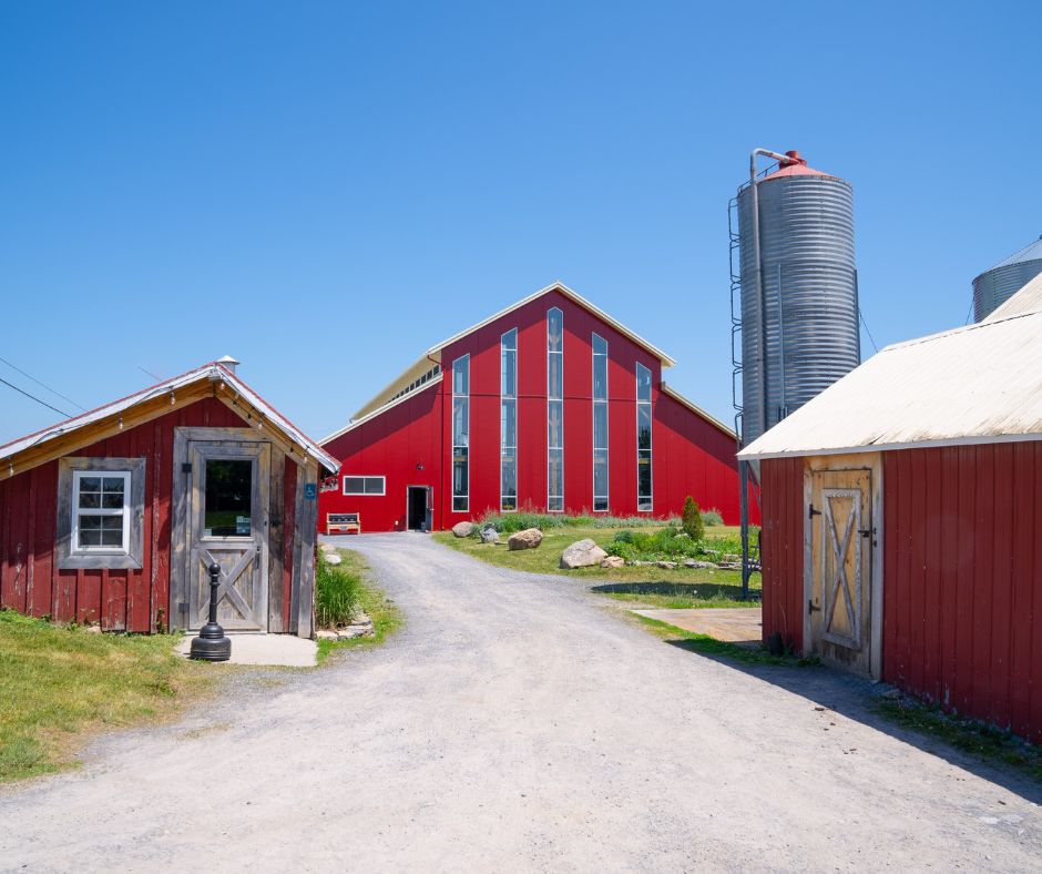 Taste, Explore, Repeat: A Foodie’s Guide to a Weekend in Lennox and ...