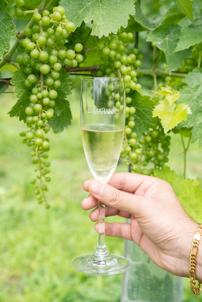 Sip Sip Hooray! A Guide to Kingsville’s Wineries and Breweries ...