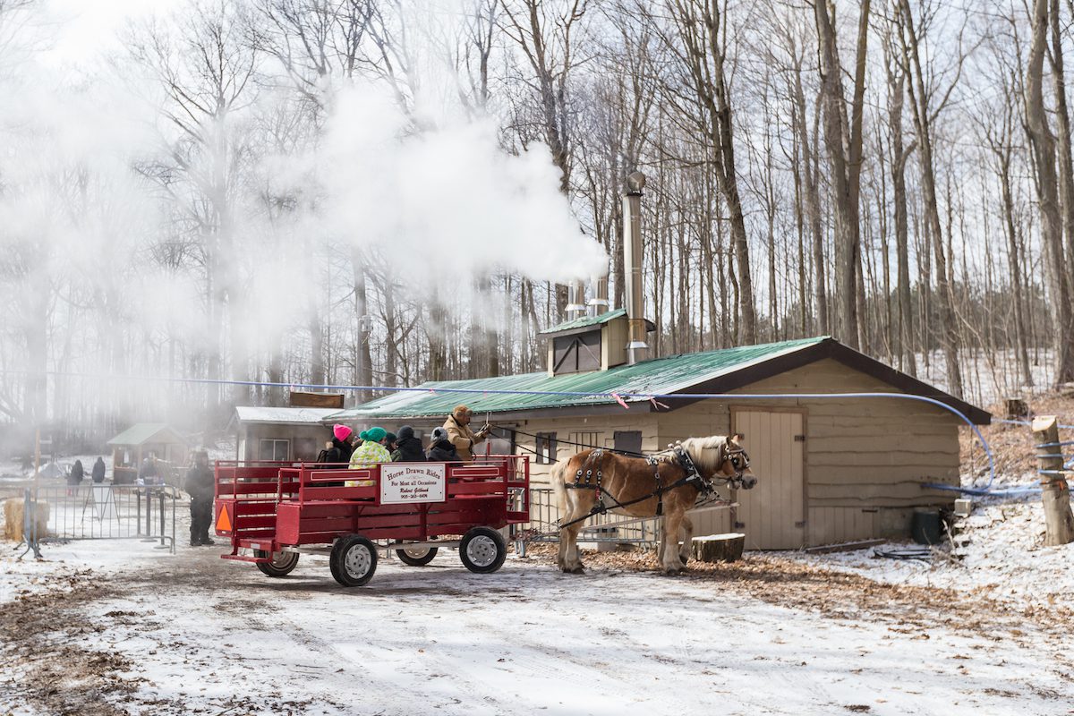 Maple Syrup Season in Ontario: A Guide to the Best Events, Festivals ...