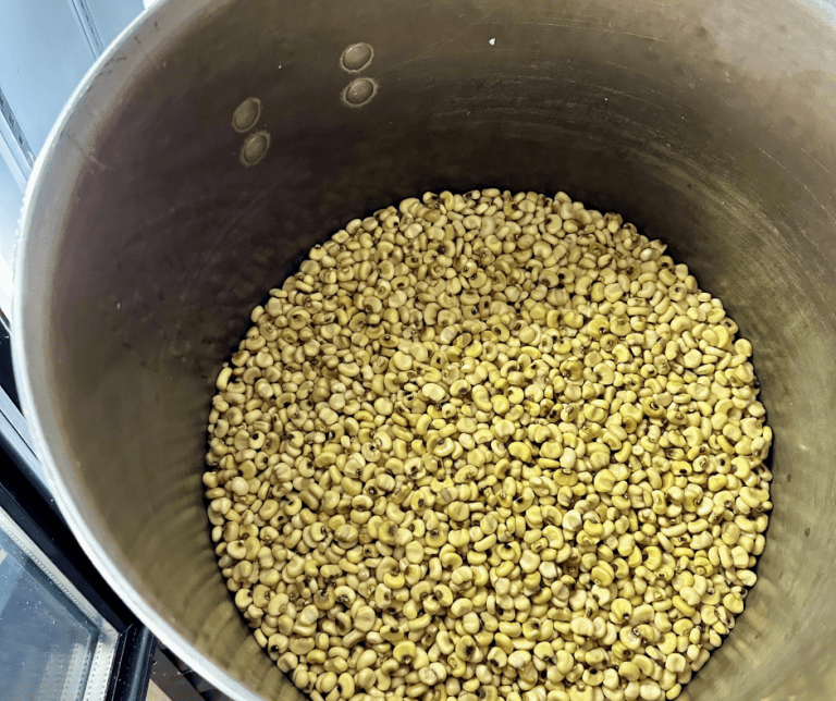 Hill’s Native Foods: Sharing Knowledge + Growing Community | Ontario ...