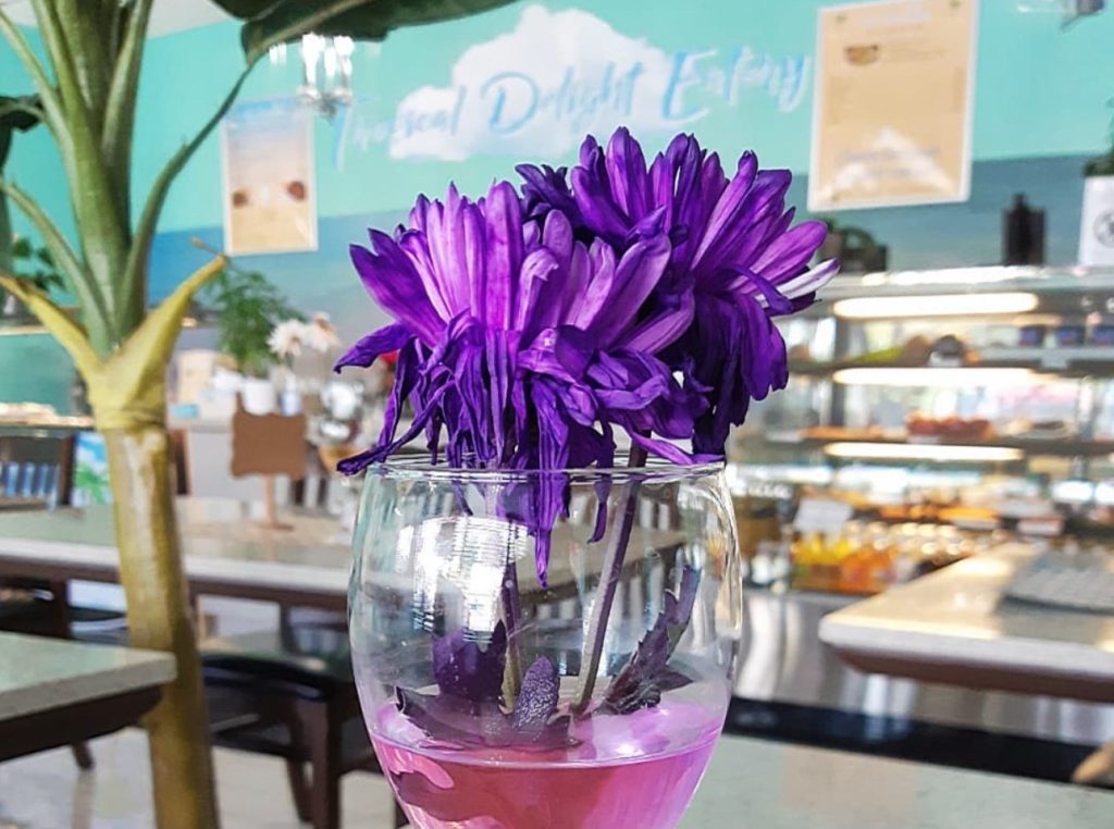 Go Tropical in Durham Region at these Restaurants | Ontario Culinary