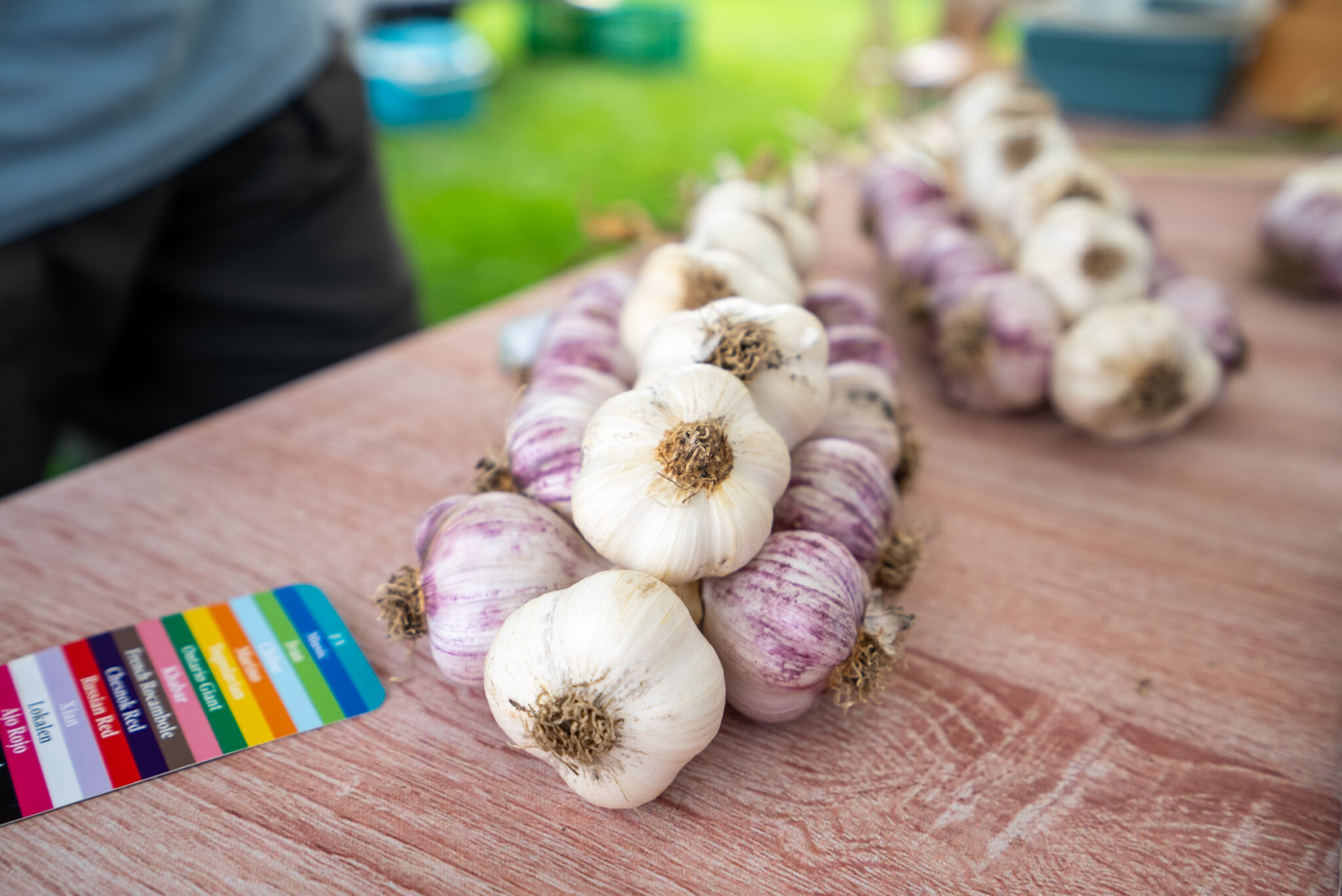 Wonderful Fall Weekends in Ontario’s Highlands | Ontario Culinary