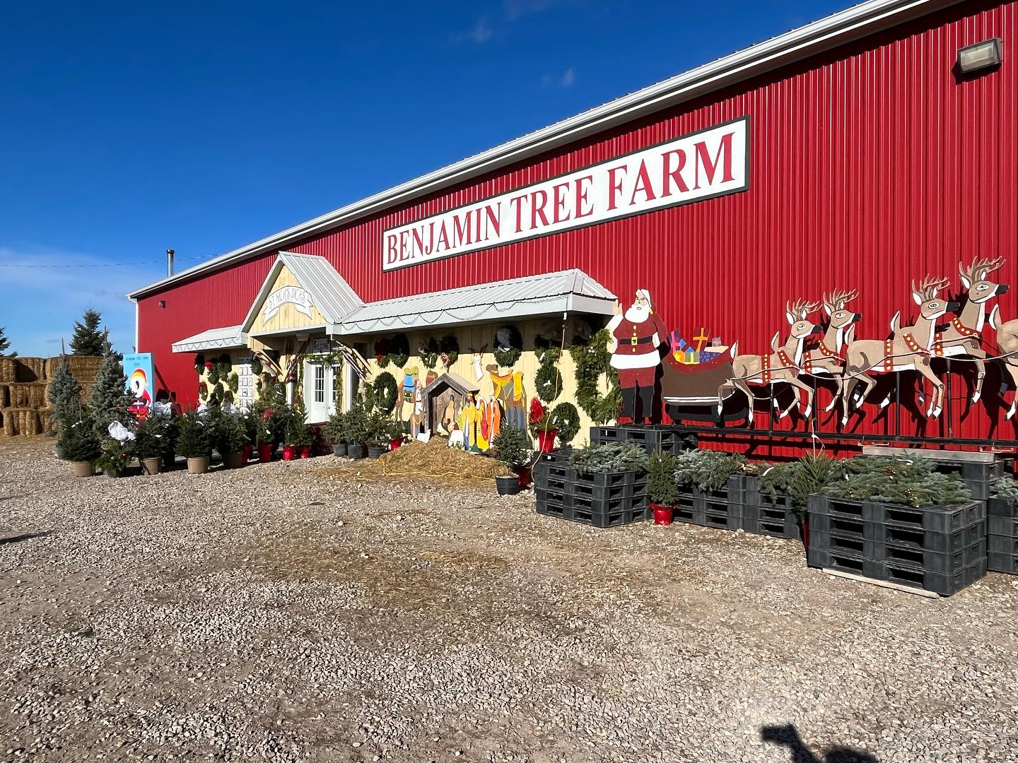 Ontario’s Best Pick-Your-Own Tree Farms | Ontario Culinary